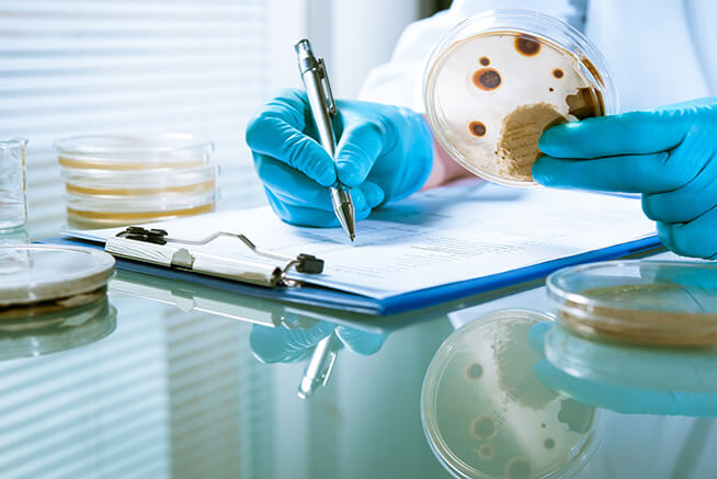 Atualização em bacteriologia clínica teórico e prático | Pós-graduação UNIP